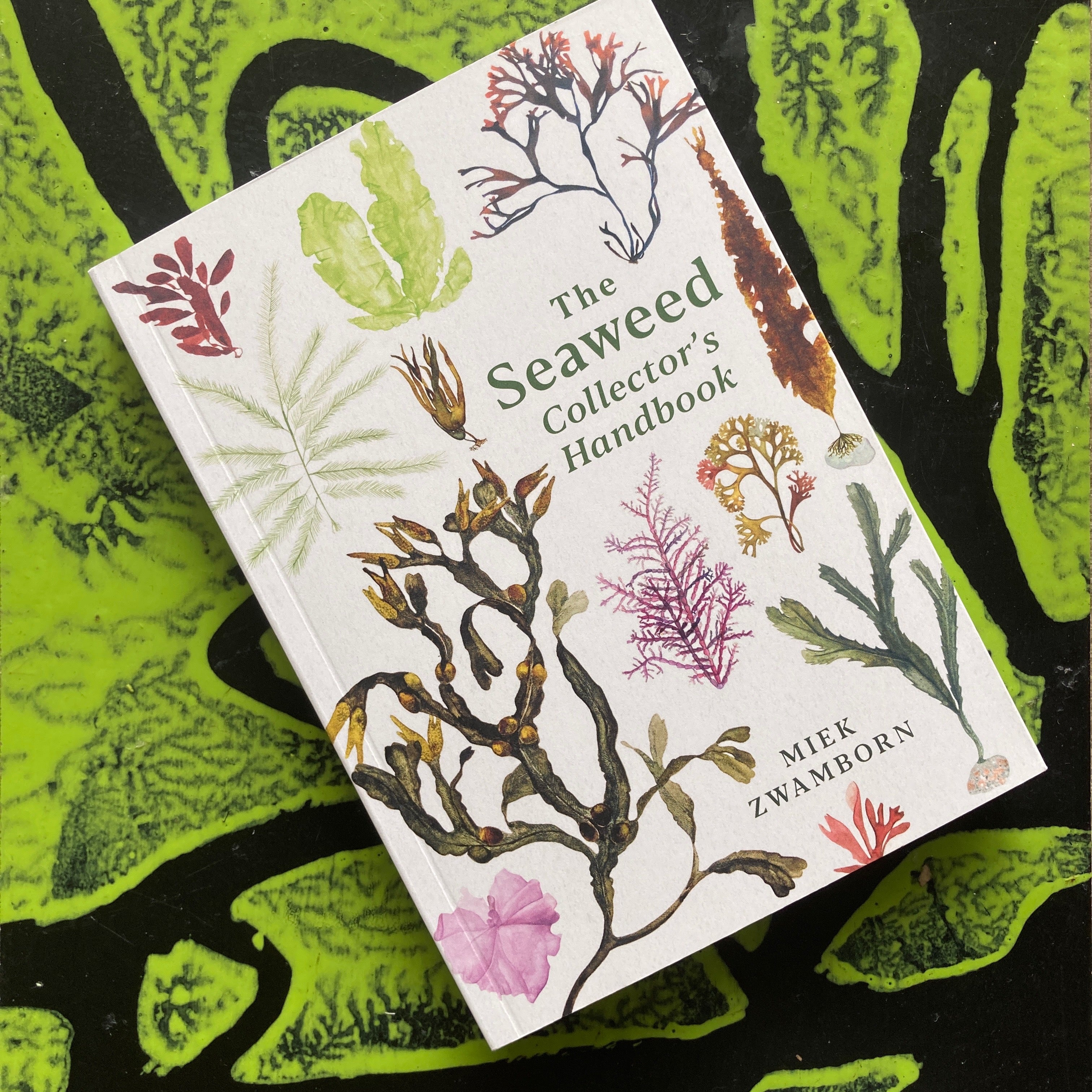 The Seaweed Collector’s Handbook – The Nose